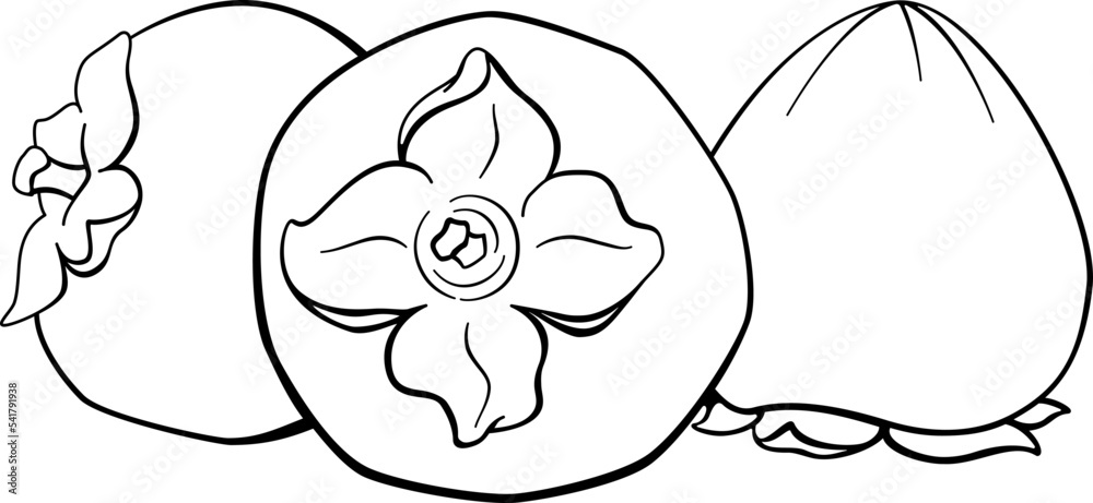 Persimmon, sweet autumn fruits - vector linear picture for coloring ...