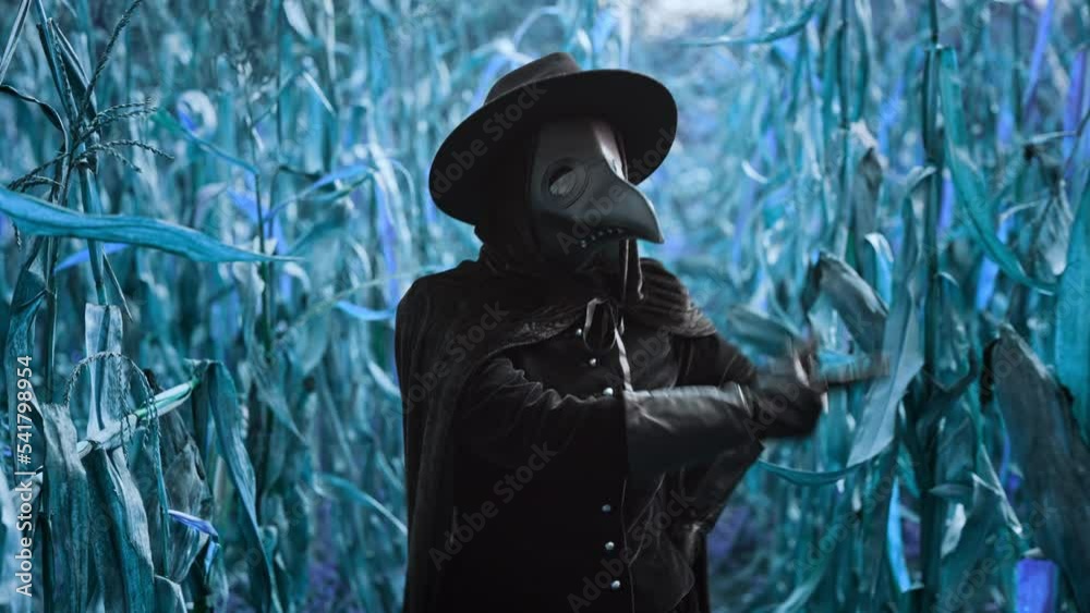 Plague doctor gothic woman dancing in blue thickets. Creepy raven mask ...