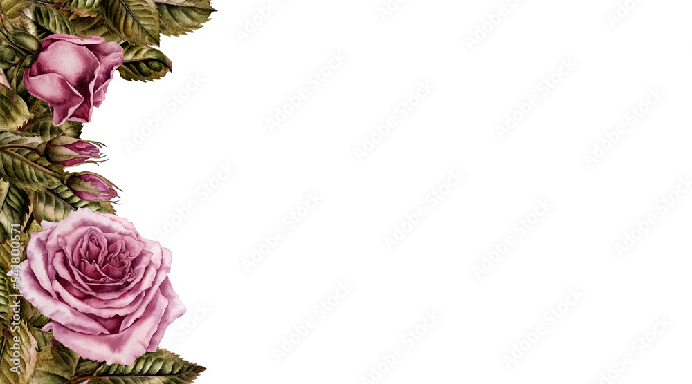Border of watercolor pink roses and green leaves. Botanical ...