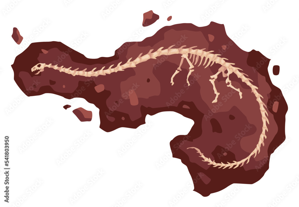 Dinosaur skeleton bone, fossil excavation of archeology isolated ...