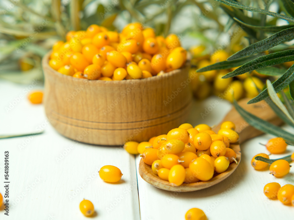 Fresh sea buckthorn berries in a wooden bowl and spoon against the ...