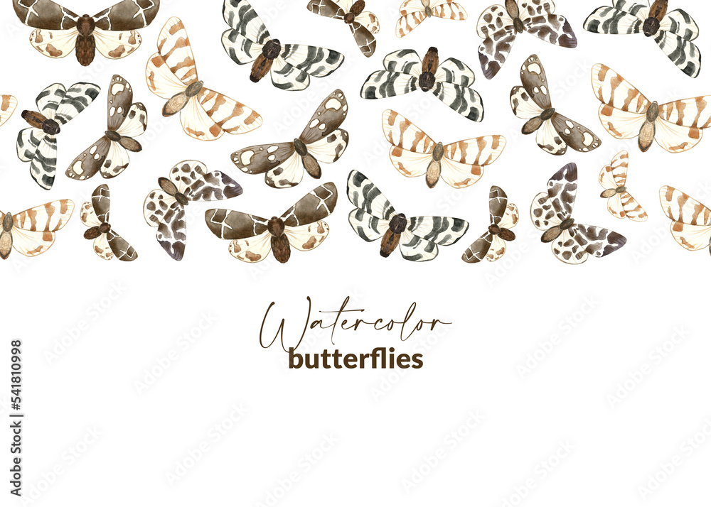 Template with illustrated brown butterflies. Hand drawn watercolor moth ...