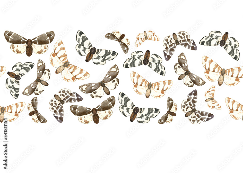 Seamless banner with illustrated brown butterflies. Hand drawn ...