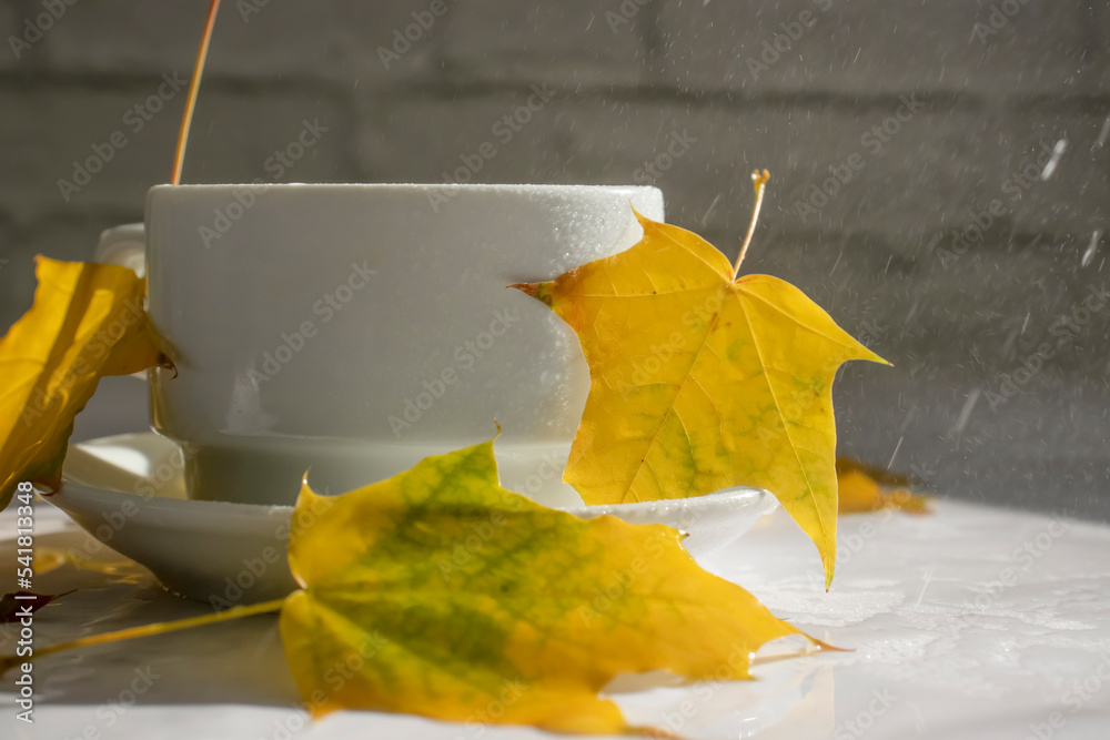 Cup of tea autumn leaf on a light background, rain Stock Photo | Adobe ...
