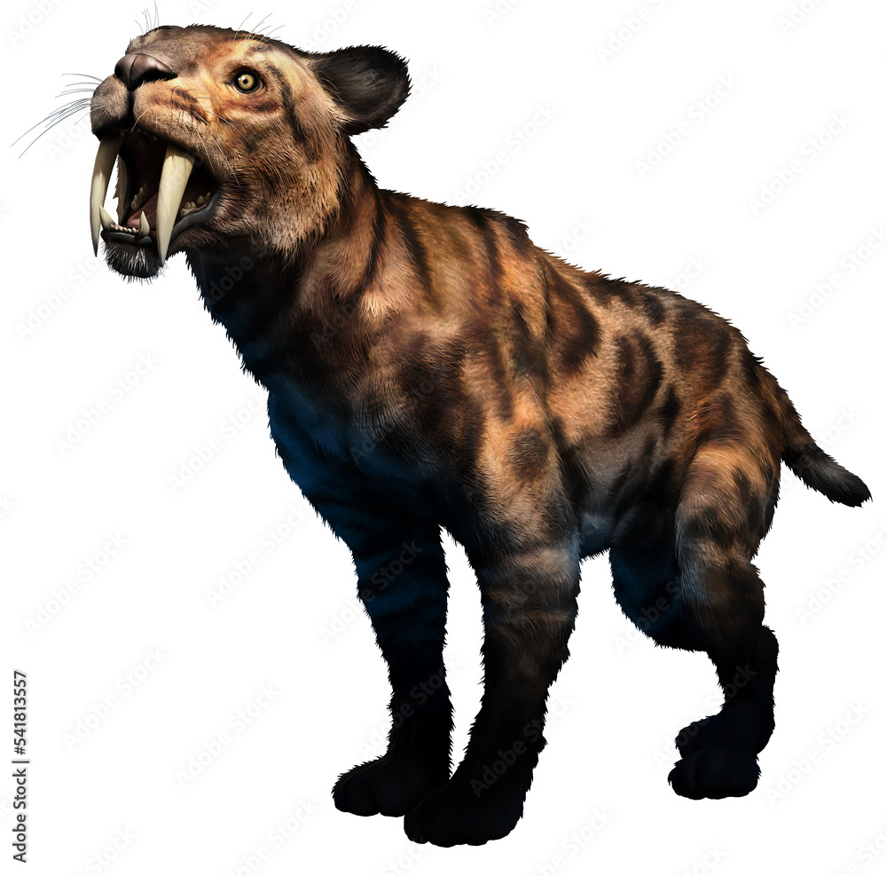 Smilodon prehistoric cat 3D illustration Stock Illustration | Adobe Stock