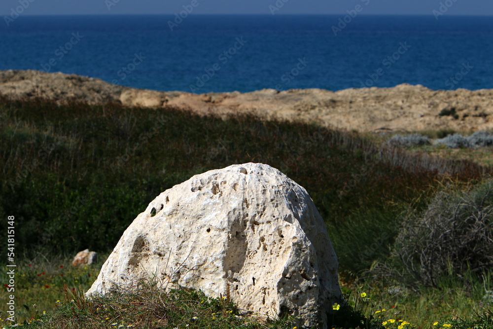 Stones in a city park by the sea in northern Israel Stock Photo | Adobe ...