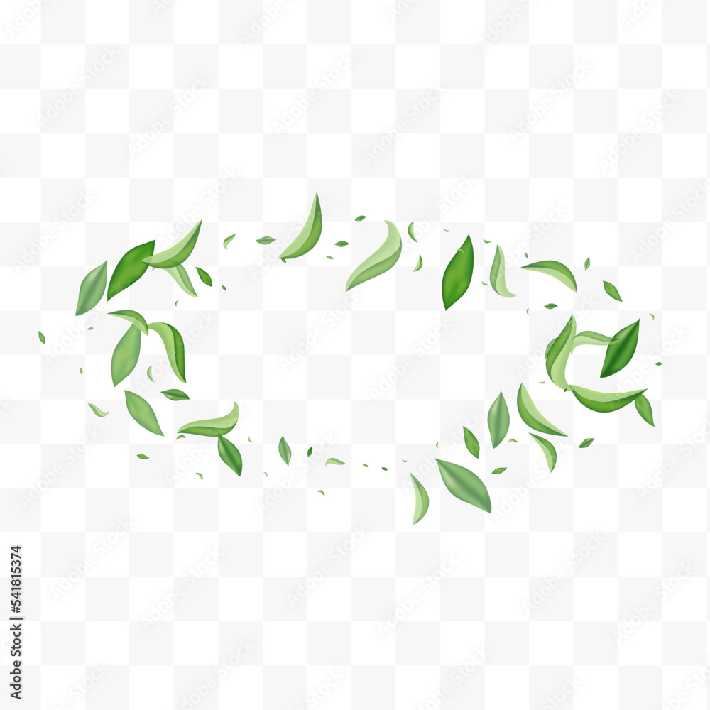Green Leaf Fly Vector Transparent Background Stock Vector | Adobe Stock