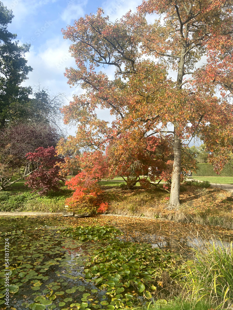 Autumn Scene Stock 写真 | Adobe Stock