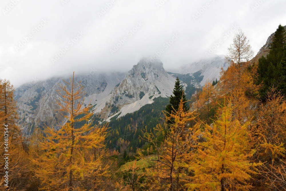 Slopes under Stol mountain covered in clouds in Karavanke mountains ...