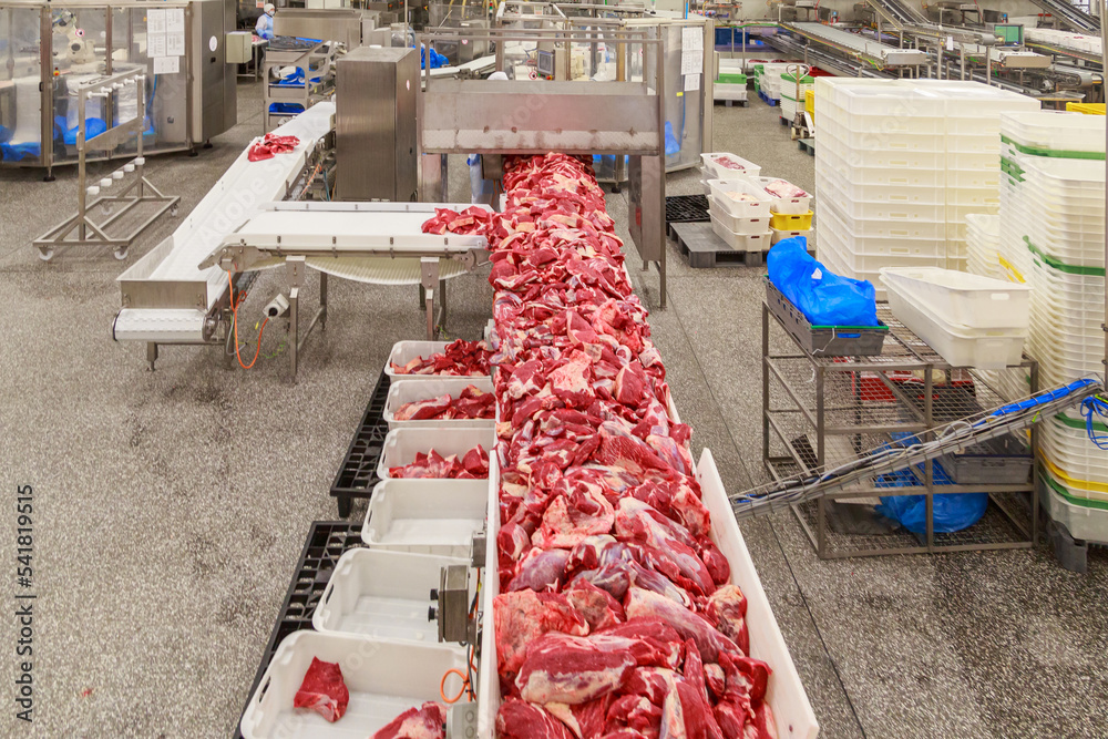 Topview of conveyor machine with primal cuts of angus beef. Stock 写真 ...