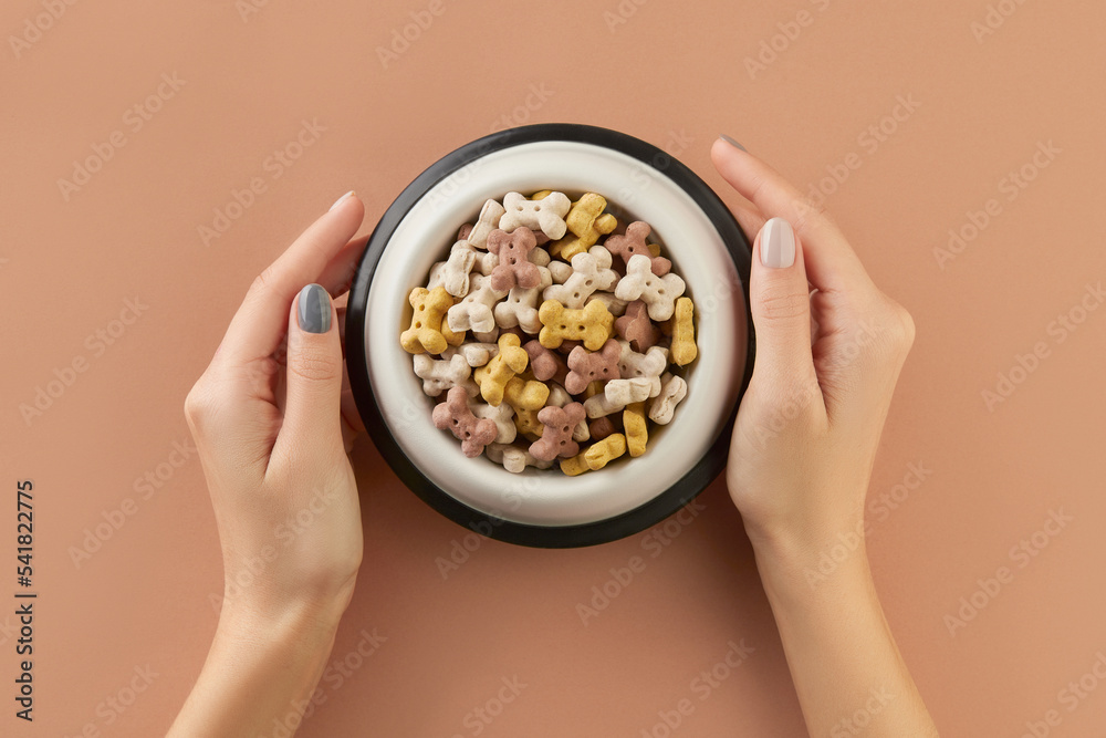 Womans hands holding dry dog food in bowl on brown background. Healthy ...