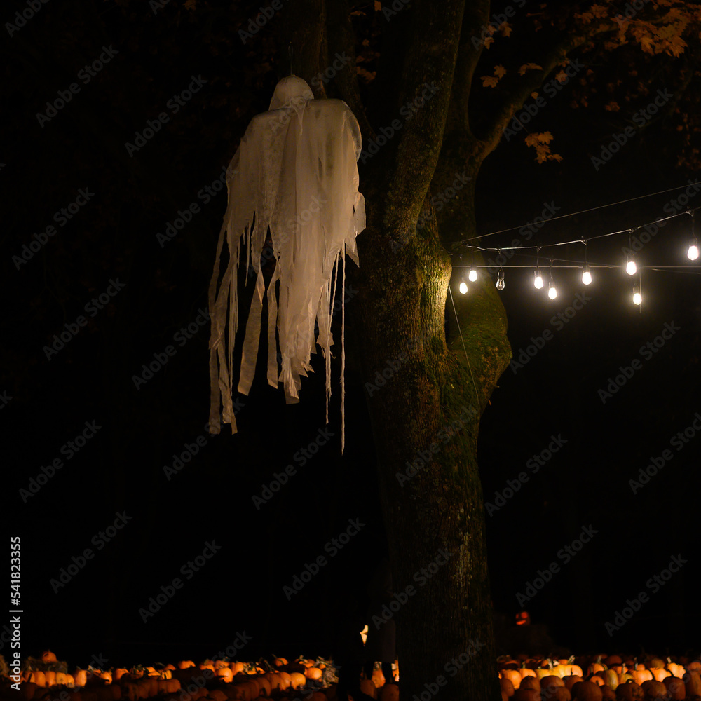 Spook in white rags Halloween decoration at night installed on a tree ...