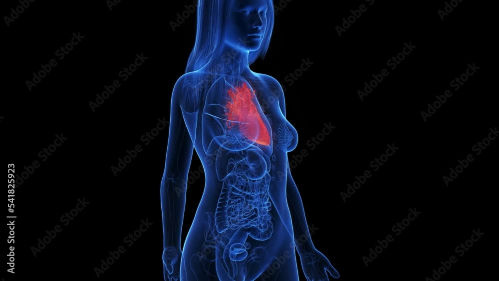 3d rendered medical animation of an inflamed heart Stock Video | Adobe ...