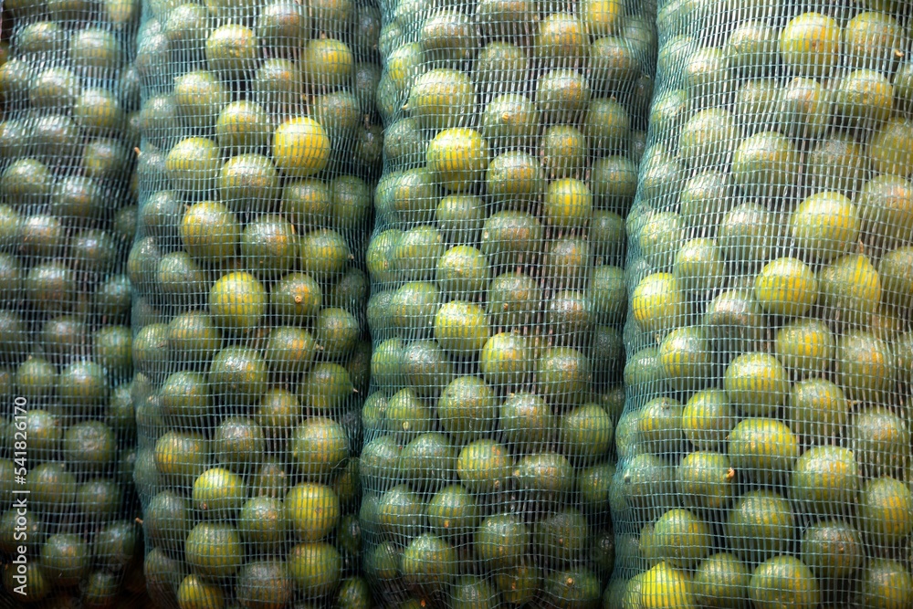 Bag pack of green lemons citrus for sale Stock Photo | Adobe Stock