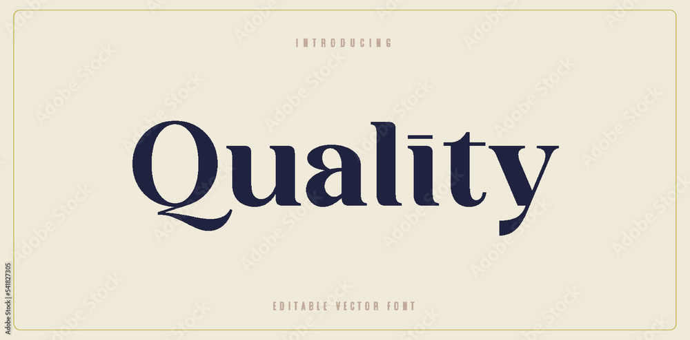 Quality text elegant alphabet letters font template. Classic Lettering ...