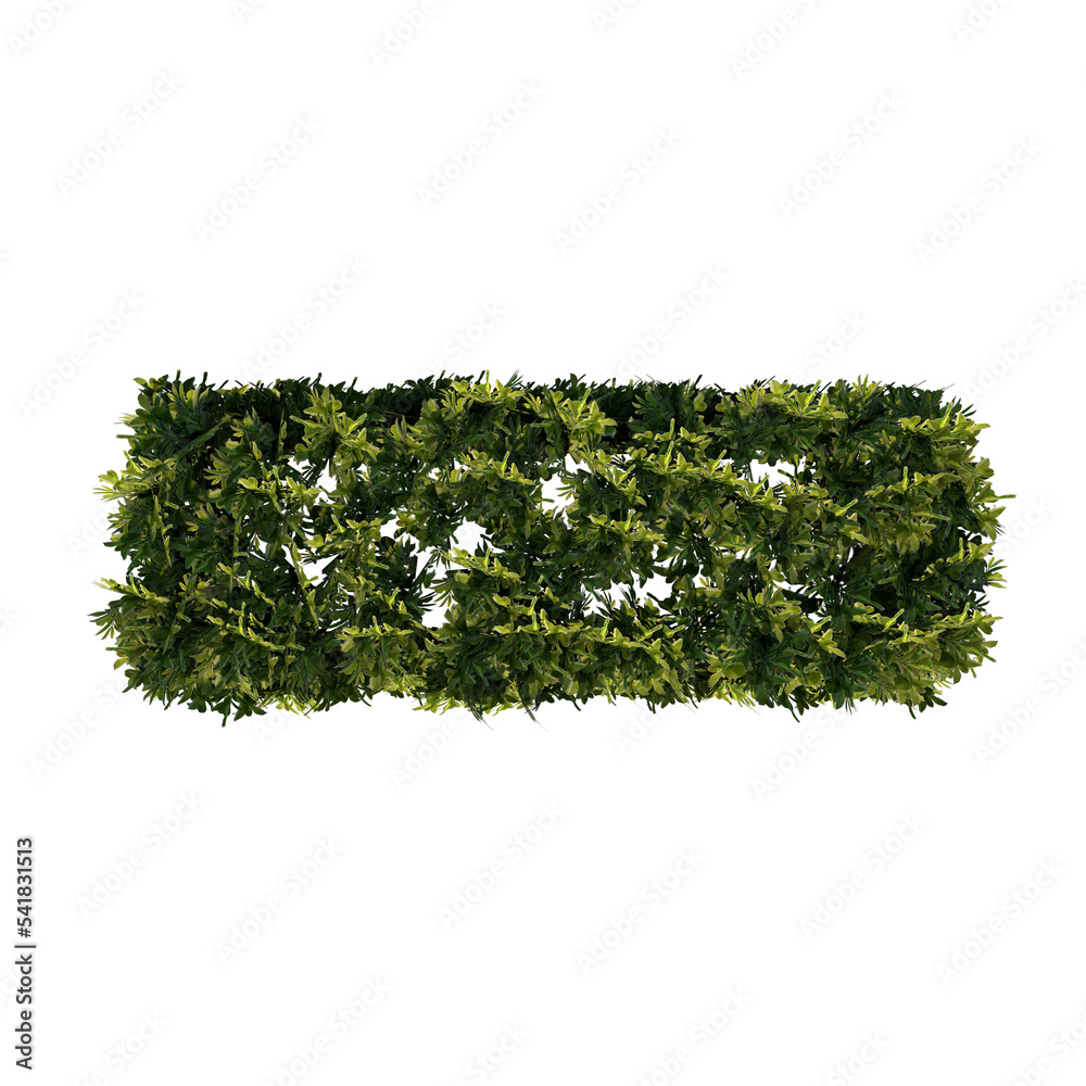 Top view of Plant (rectangular bush 1) Tree png Stock Photo | Adobe Stock