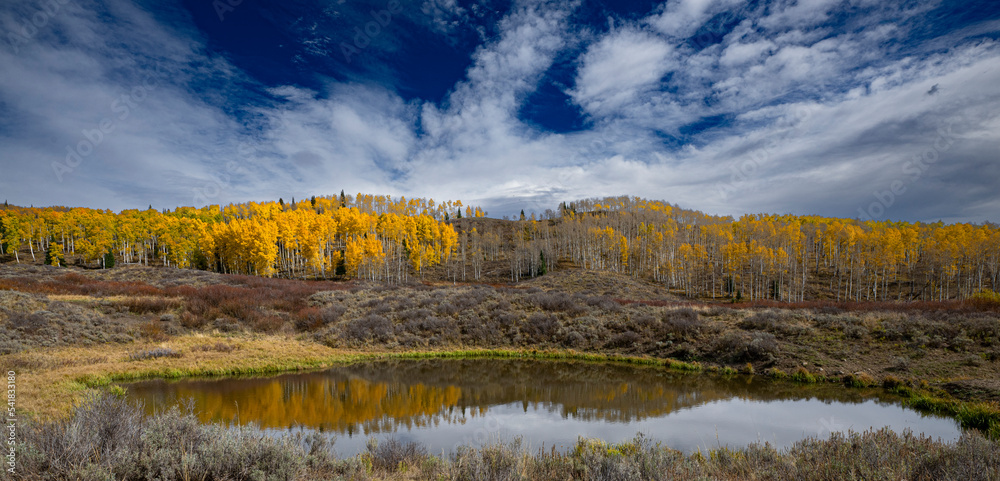 Aspen Forest and Pond II Stock 写真 | Adobe Stock