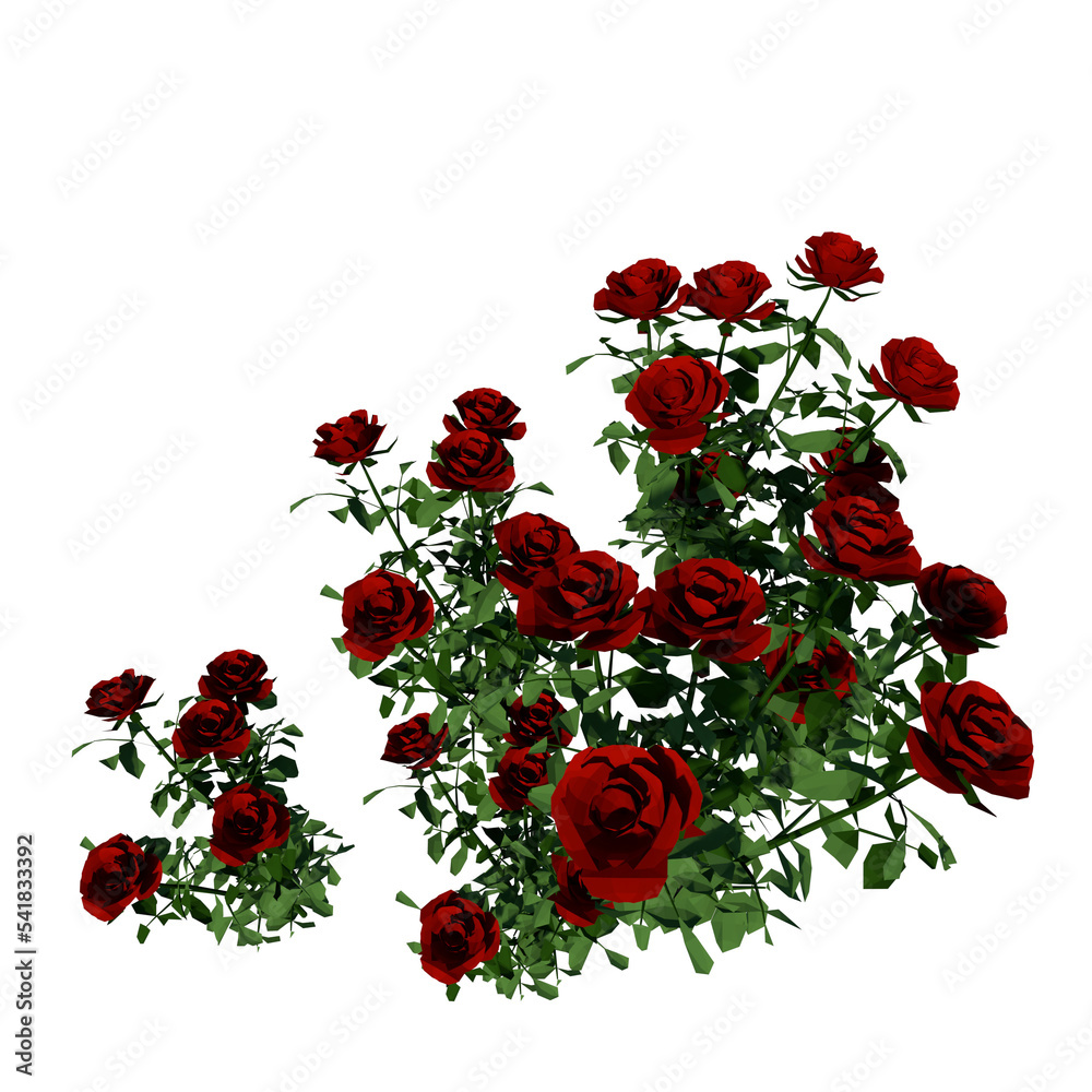 Top view of Plant (bush rosebush 1) Tree png Stock Photo | Adobe Stock