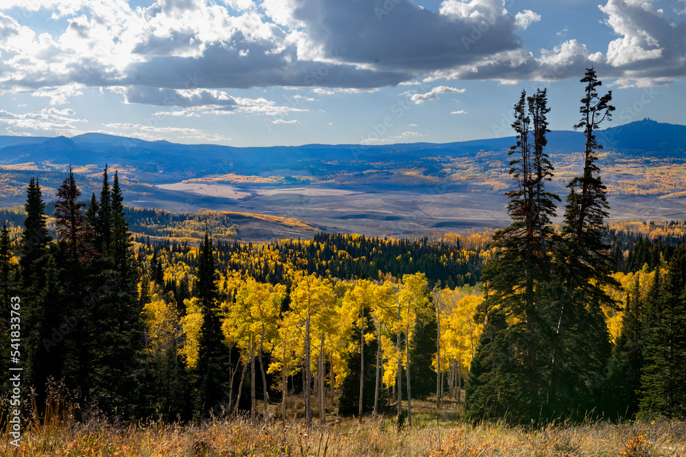 Fall Aspen Vista, Rocky Mountains Stock Photo | Adobe Stock