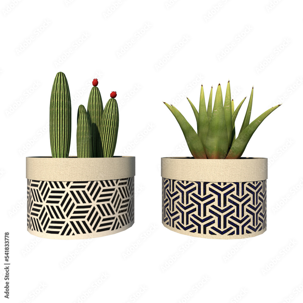 Front view of Plant (Potted Vase with Indoor Plant 13) Tree png Stock ...