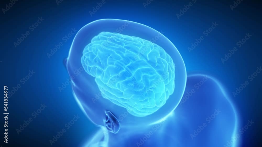 3d rendered medical animation of a degenerating brain Stock Video ...