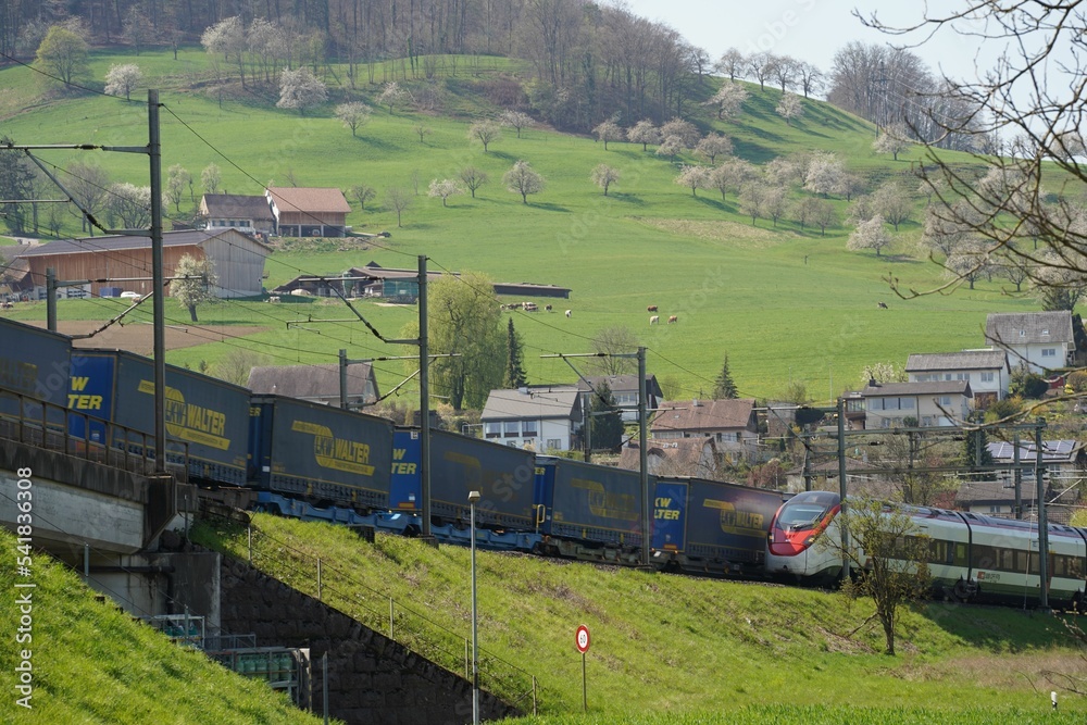 SBB train and a container train moving through the field with houses ...