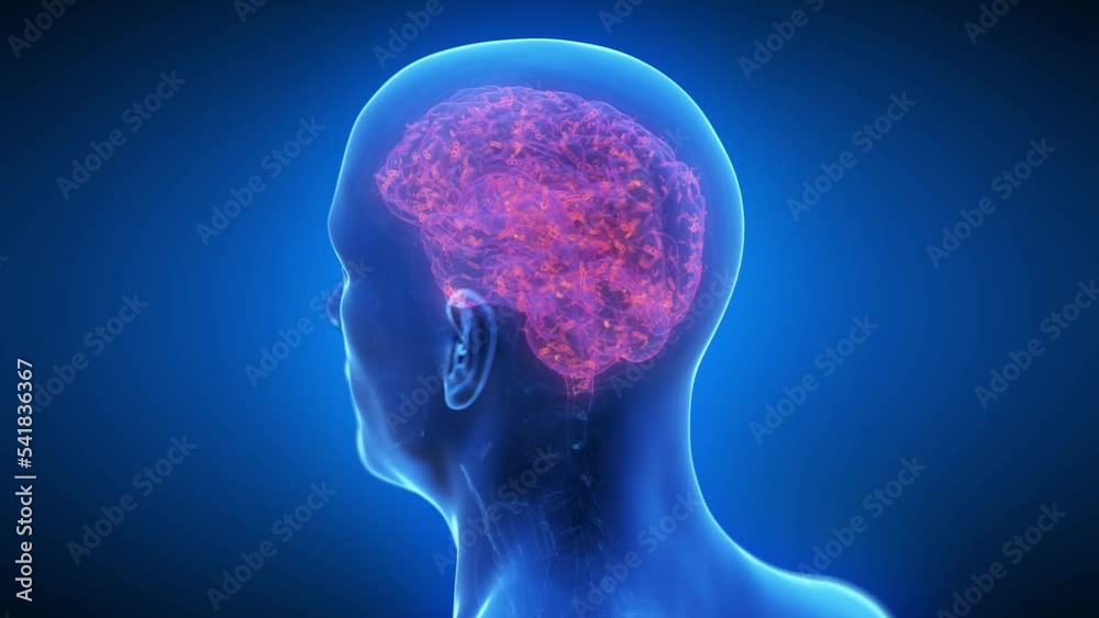 3d rendered medical animation of an infected human brain Stock Video ...