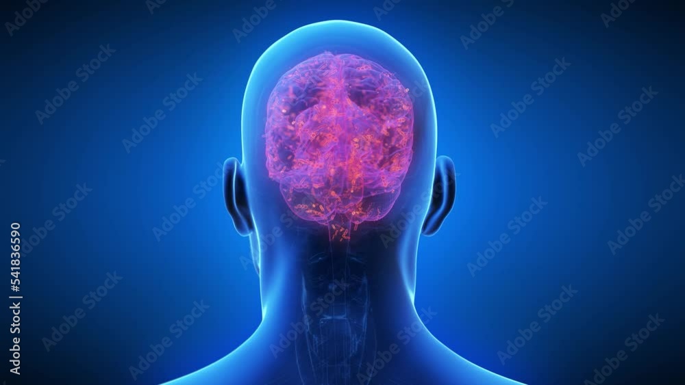 3d rendered medical animation of an infected human brain Stock Video ...