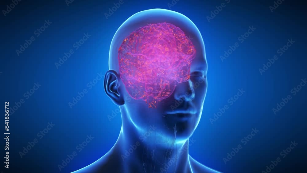 3d rendered medical animation of an infected human brain Stock Video ...
