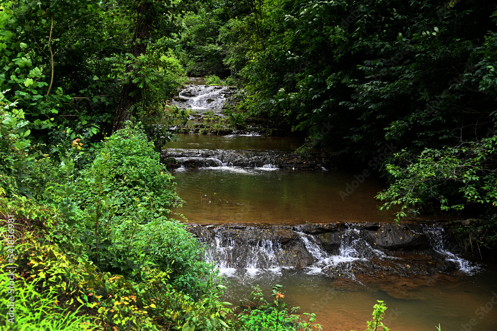 Tennessee stream Stock Photo | Adobe Stock