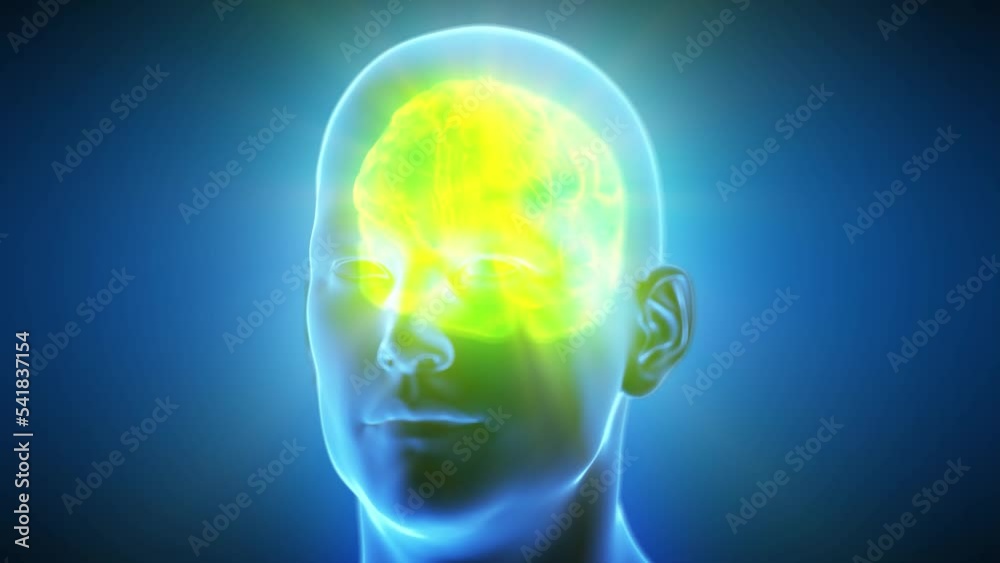 3d rendered medical animation of an active human brain Stock Video ...