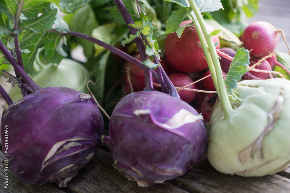 Radis Stock Photo | Adobe Stock