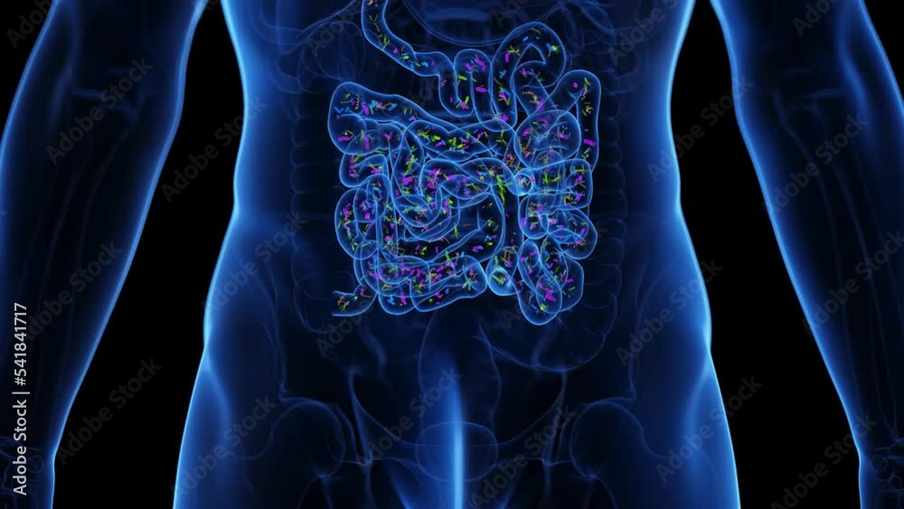 3d rendered medical animation of the intestinal microbiome Stock Video ...