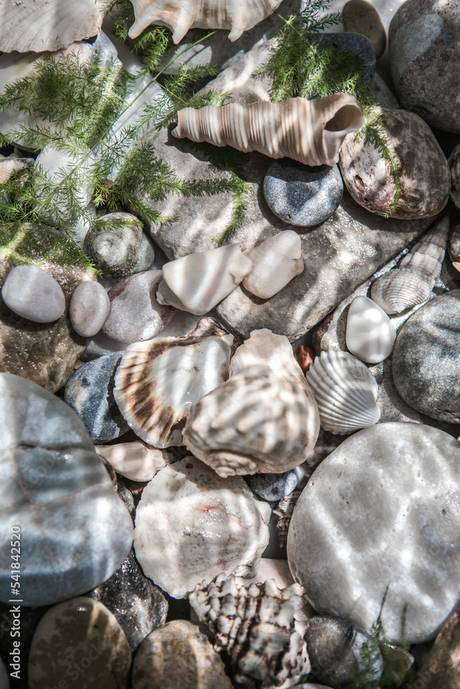 surface of water above bottom with white stones and shell. Rare drops ...