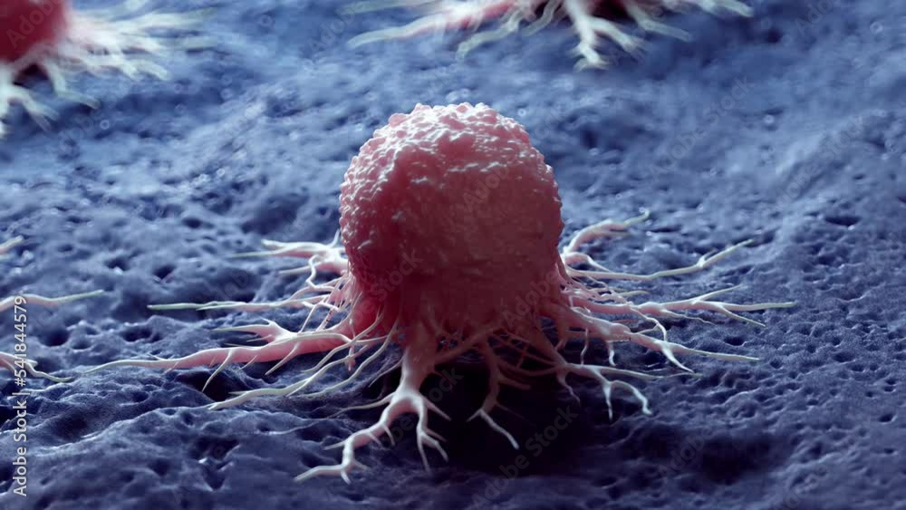 3d rendered medical animation of a cancer cell Stock Video | Adobe Stock