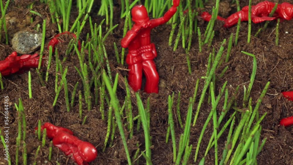 Defeated toy army is sprouted by green grass after the battle in ...