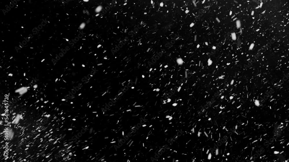 Winter real snowfall effect Snow storm isolated black background in 4K ...