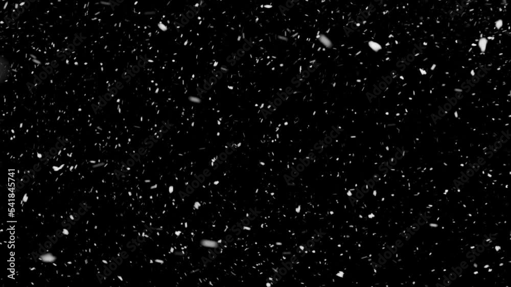 Winter real snowfall effect Snow storm isolated black background in 4K ...