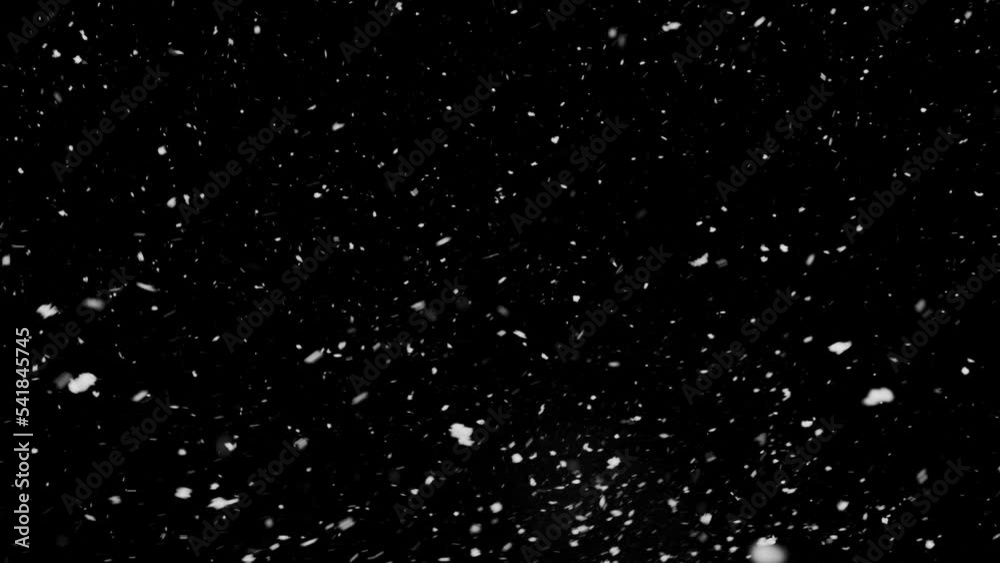 Winter real snowfall effect Snow storm isolated black background in 4K ...