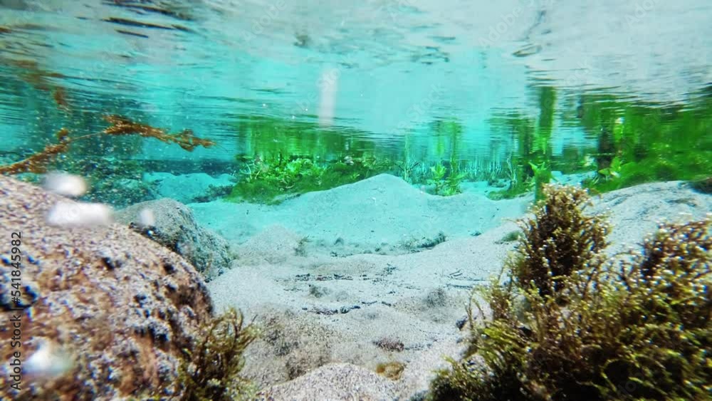 Underwater shot of a natural pool with crystal clear mineral water and ...