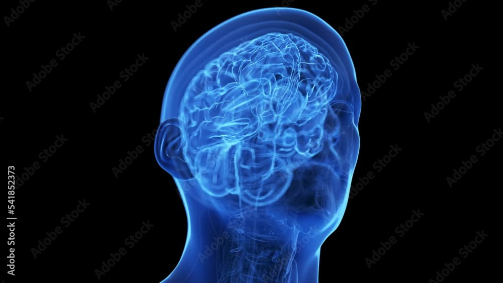 3d rendered medical animation of an active human brain Stock Video ...