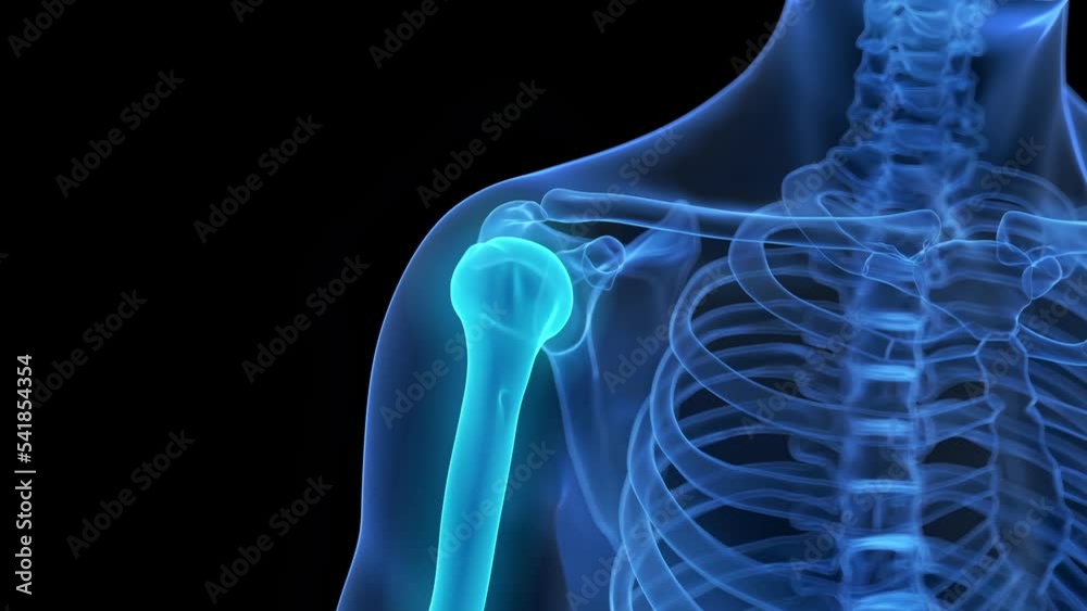 3d rendered medical animation of the shoulder joint Stock Video | Adobe ...