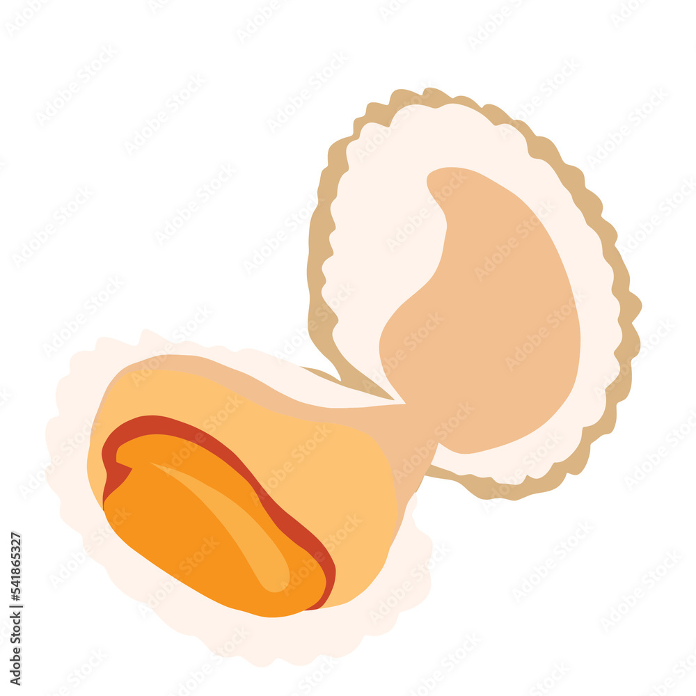 food oyster Stock-Illustration | Adobe Stock food oyster Stock-Illustration | Adobe Stock