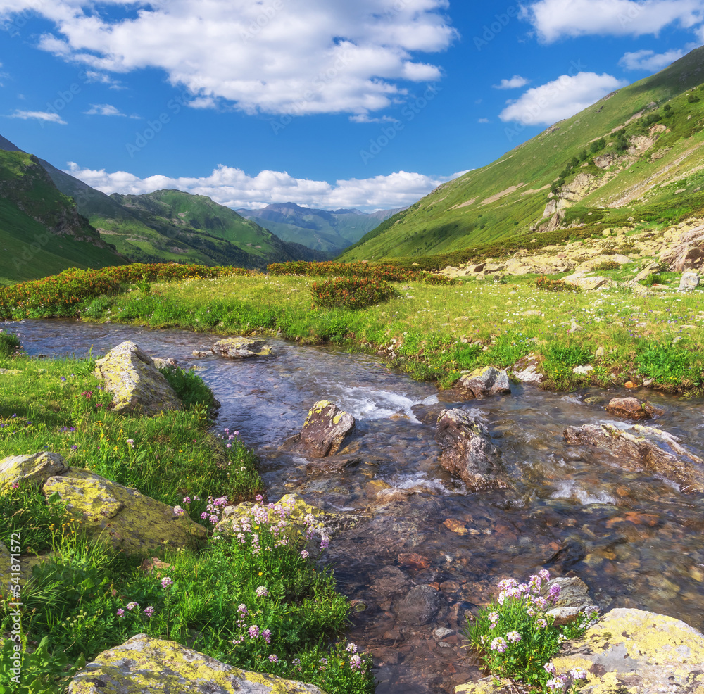 Pure river in mountain valley. Stock Photo | Adobe Stock