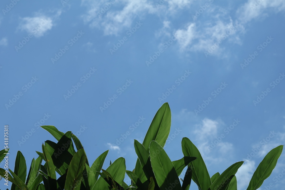 beauty of nature with clouds and sky Stock Photo | Adobe Stock