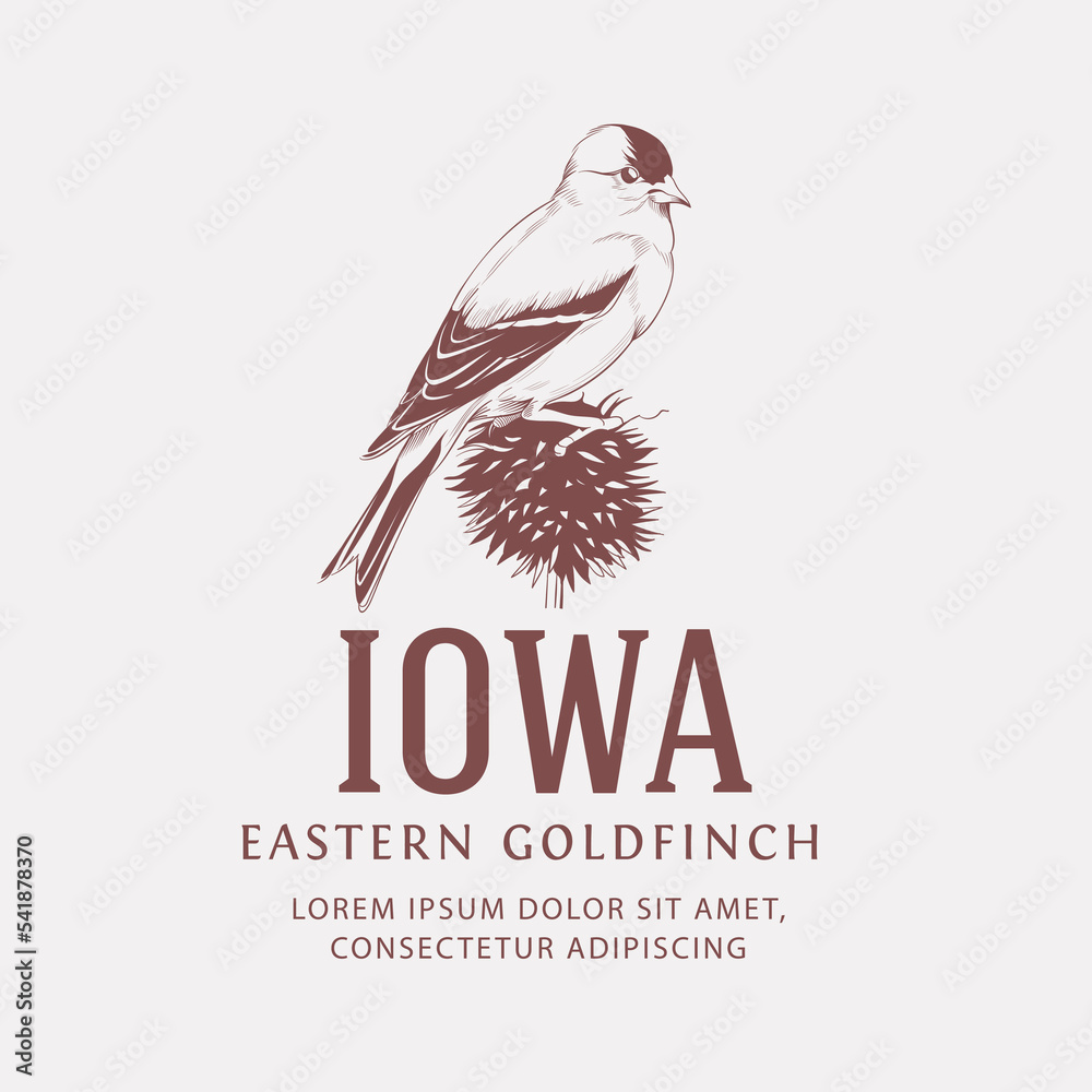 Vintage Bird Logo. Iowa State Bird. Eastern Goldfinch Stock Vector ...
