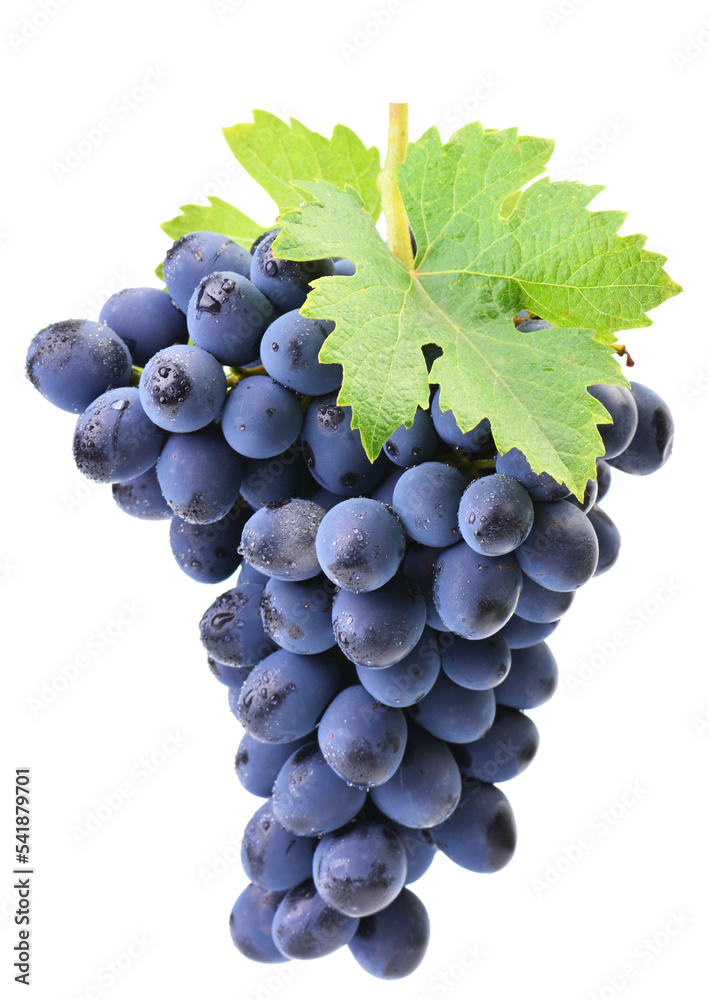 Bunch of grapes isolated on white Stock Photo | Adobe Stock