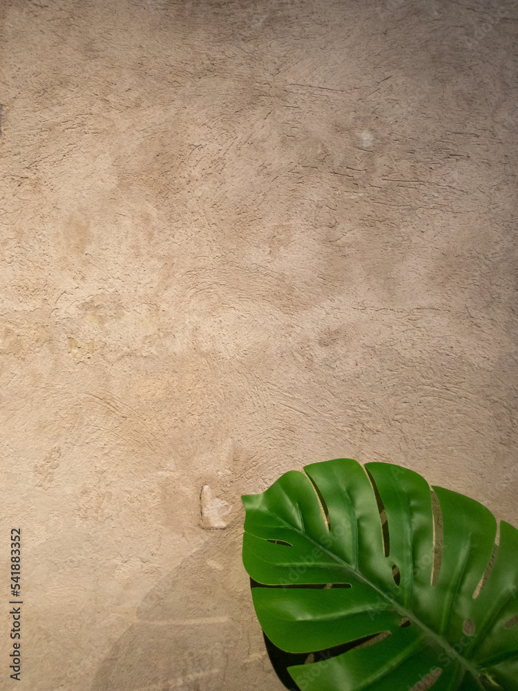 leaves on wall Stock Photo | Adobe Stock
