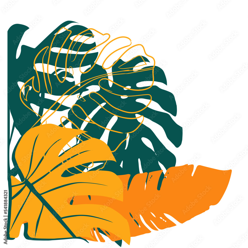 Vecteur Stock Nature Botanical element | Adobe Stock