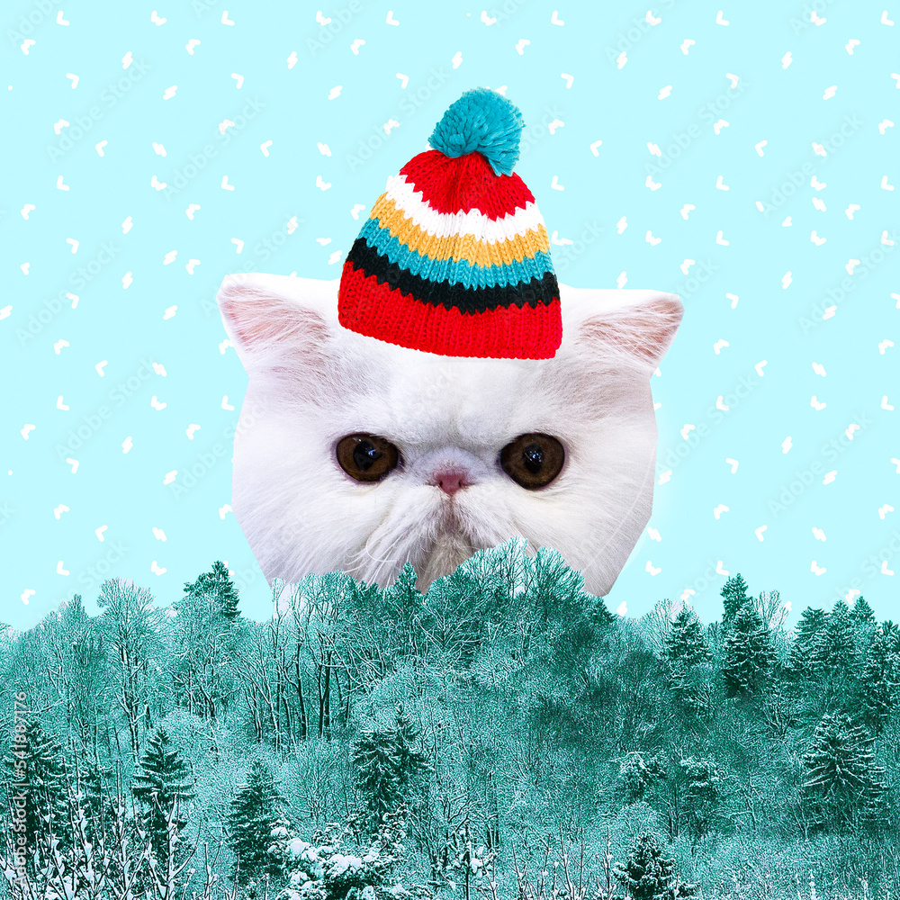 Contemporary digital collage art. Fall winter concept. Winter season ...